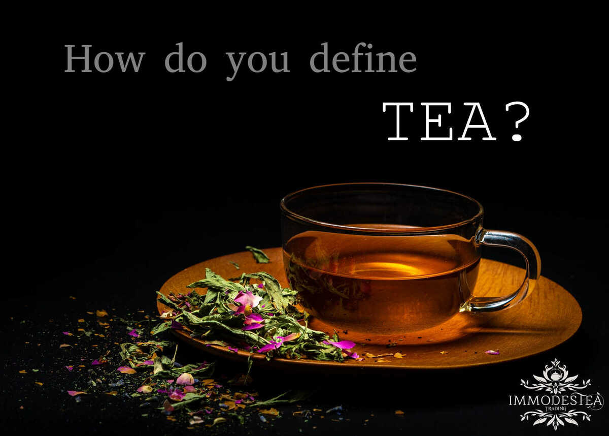 Posts – Immodestea